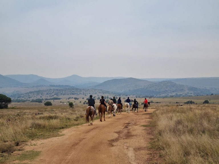 Cradle of Humankind Packages in Lanseria | Lanseria Country Estate